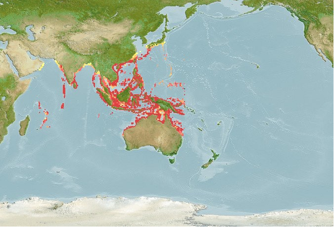 Исследование вкусовых предпочтений баррамунди (азиатского морского ...